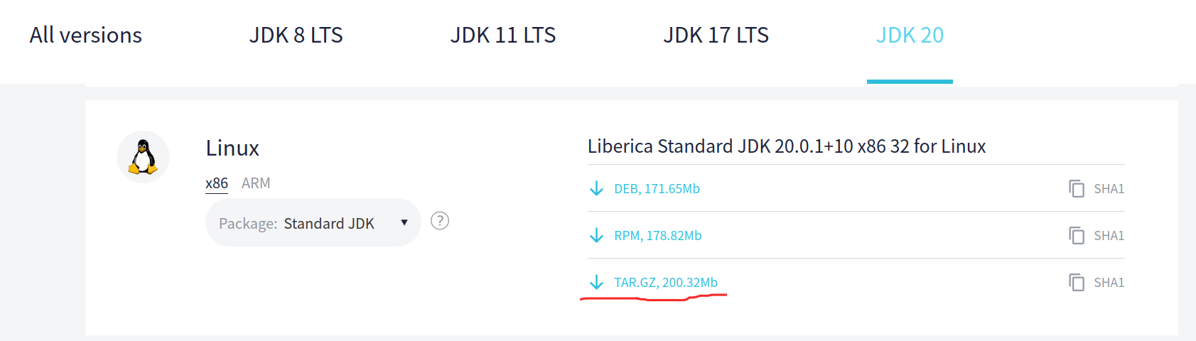 安装jdk20(学习编程区)- Community - Deepin Technology